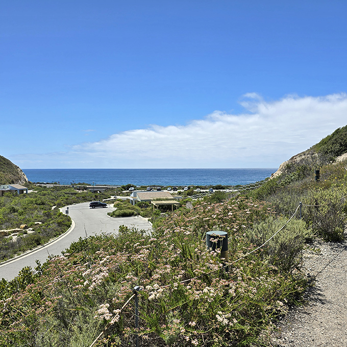 A postcard view that no filter could improve. Crystal Cove's historic district nestles between hills and ocean like it was always meant to be.