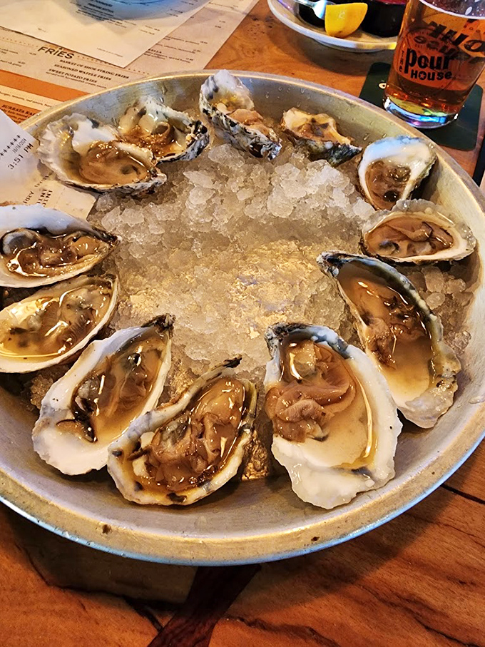 Fresh oysters on ice remind us that sometimes the ocean's finest gifts deserve center stage treatment and reverent appreciation.