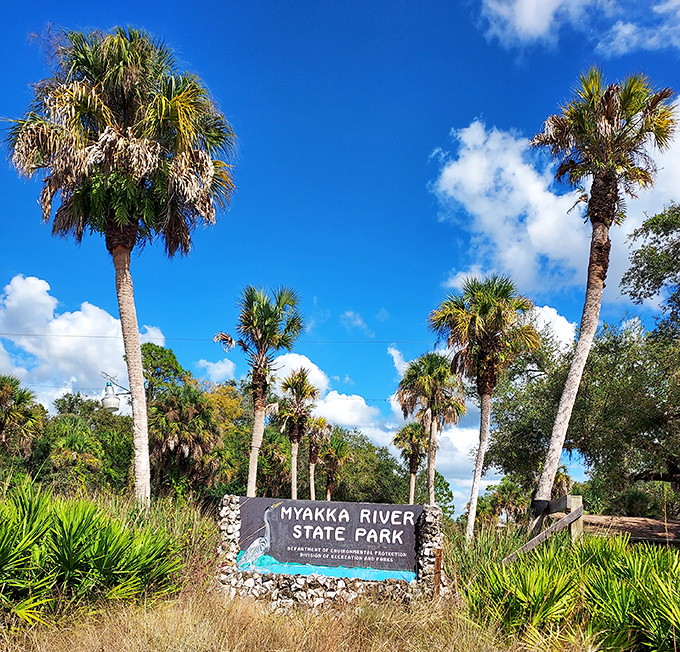 The entrance sign stands like a promise: beyond these palm trees lies the Florida that existed before condos and outlet malls claimed the coastline.