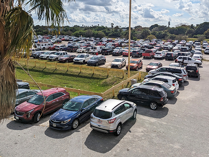 The parking lot stretches to near infinity, a sea of vehicles whose owners are all convinced they'll find that perfect something inside.