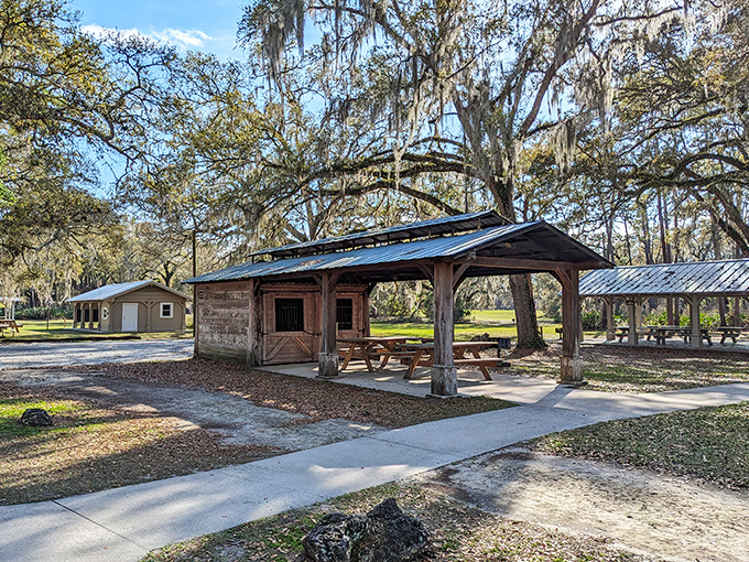 Rustic charm meets practical comfort at the park's picnic pavilions. The perfect spot for a family reunion or just a sandwich with a side of history.