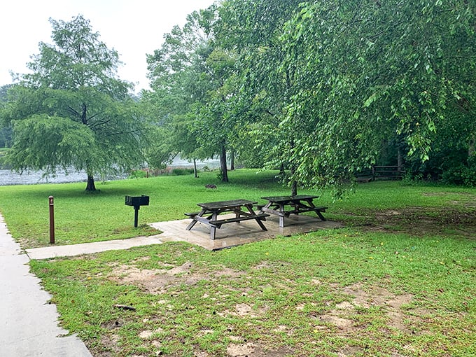 Picnic tables under whispering trees&mdash;where sandwiches taste better and conversations linger longer than they do anywhere else.