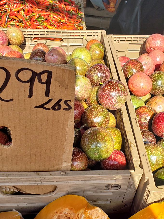 Nature's candy display, where these speckled fruits offer a taste of Florida sunshine at prices that won't squeeze your wallet dry.