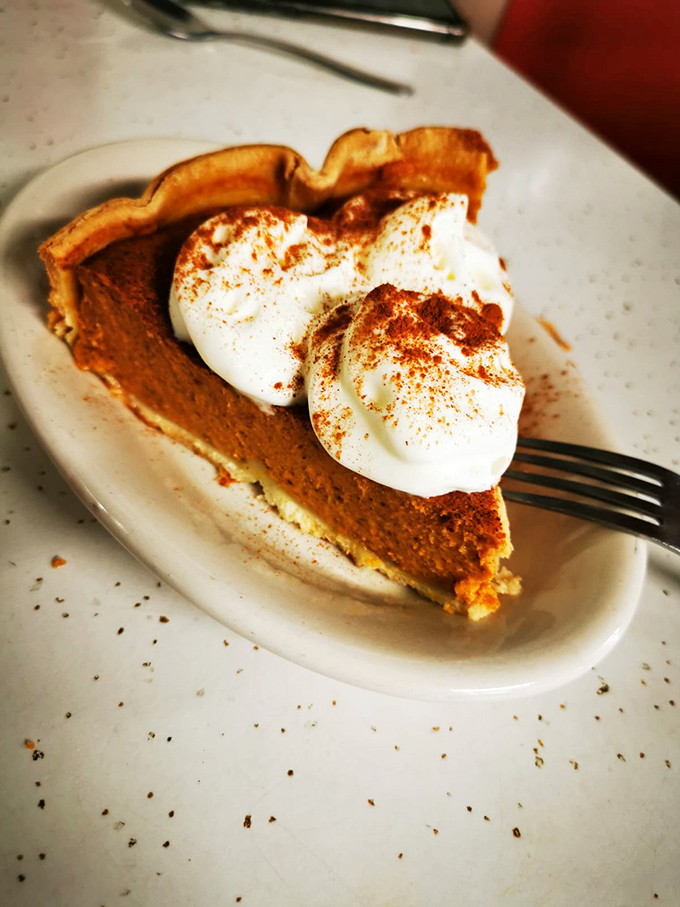 Pumpkin pie topped with whipped cream and cinnamon &ndash; autumn on a plate, regardless of what season it actually is outside.