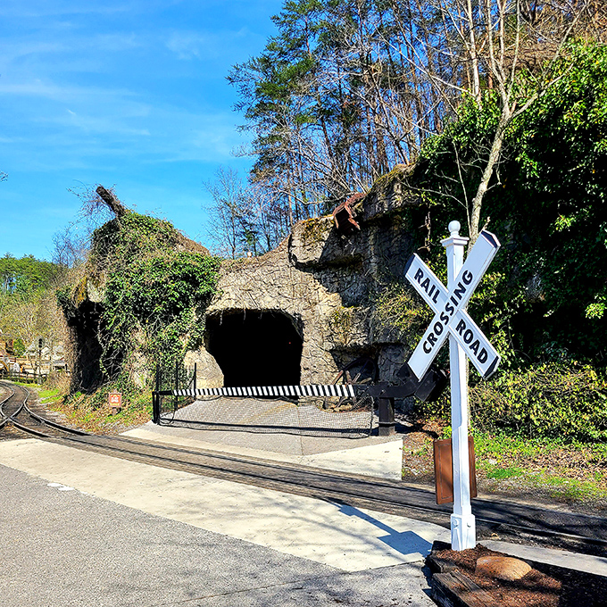 Not just any tunnel—a portal between worlds that transforms ordinary theme park visitors into wide-eyed explorers with each journey through its stone archway.
