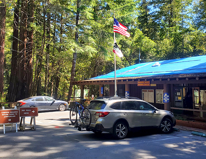 Where questions like "Is this poison oak?" and "How far to the bathroom?" are answered with equal parts expertise and patience.