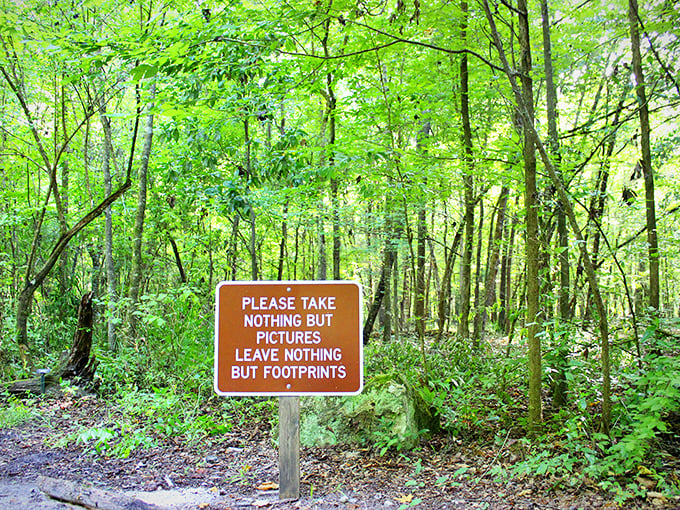 The park's conservation philosophy in eight perfect words. If only all of life's instructions were this clear and poetic.
