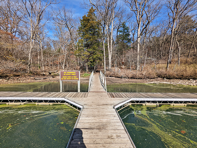These rustic steps have carried thousands of adventurers toward discovery. Each wooden plank a chapter in Ha Ha Tonka's ongoing story.