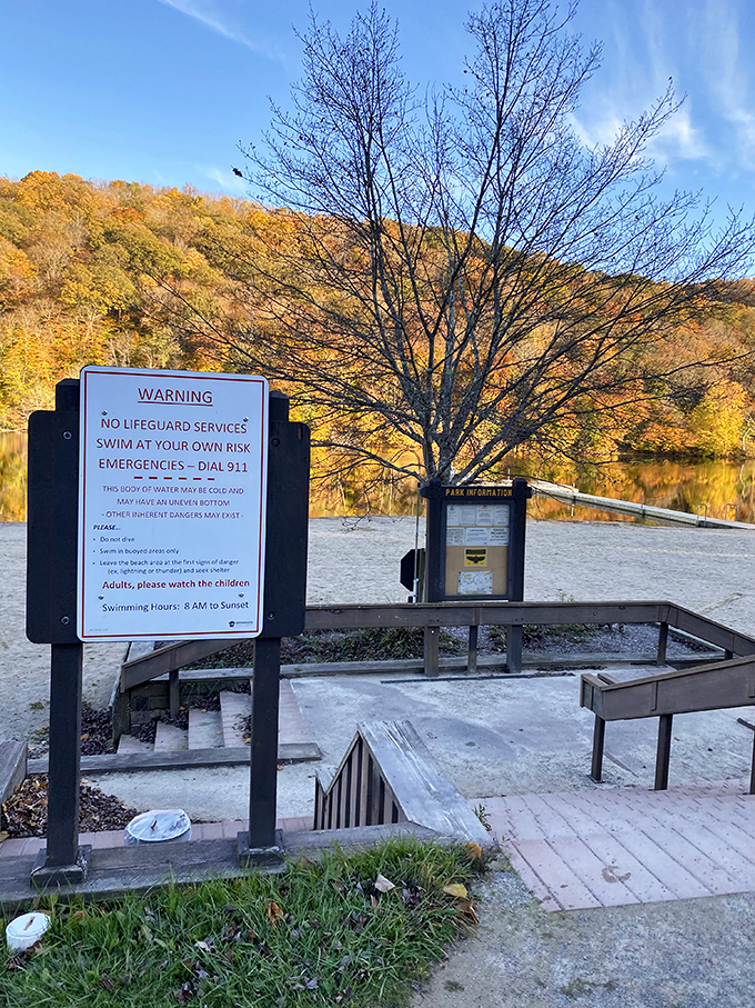 Camping at Laurel Hill: where "roughing it" means your morning coffee view includes misty mountains instead of your neighbor's unmowed lawn.