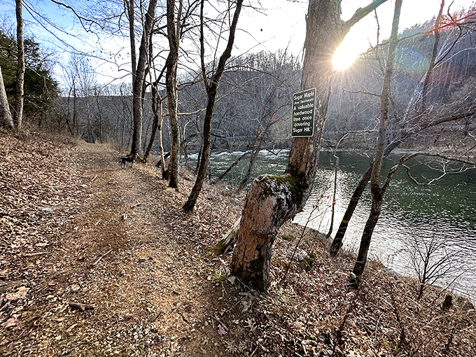 Riverside serenity just steps away from civilization. This trail offers front-row seats to nature's greatest show&mdash;no tickets required.