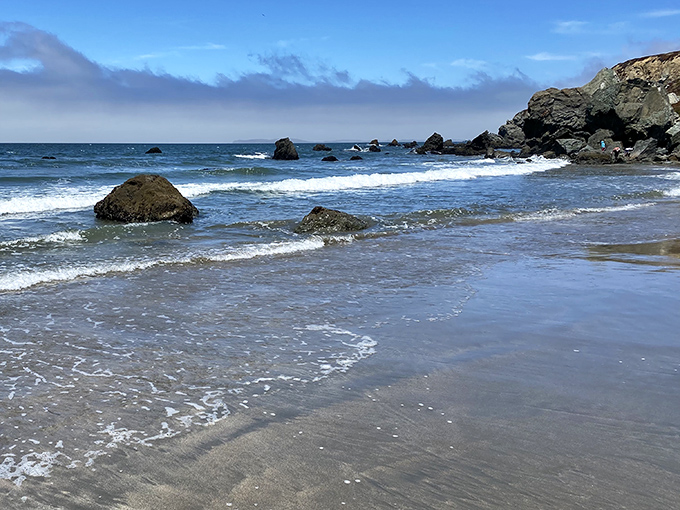 These tide pools are nature's jewelry boxes, displaying treasures that change twice daily.