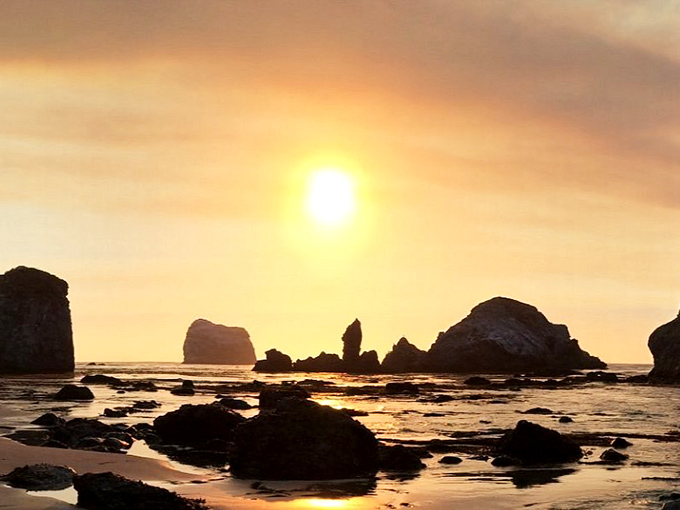 Golden hour transforms rocky tidepools into nature's jewelry box, where each stone catches fire with the day's last light.