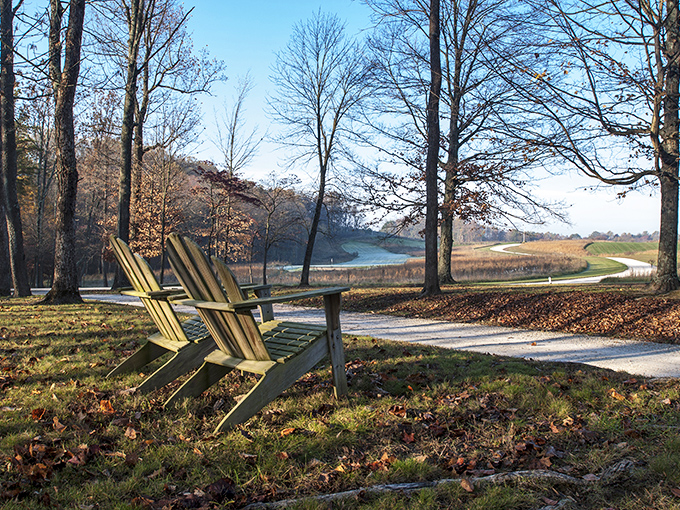 Two Adirondack chairs invite contemplation of nature's slow dance. The perfect pit stop for those who understand that travel isn't just about movement.