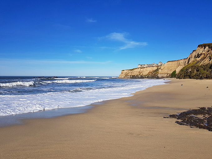 Half Moon Bay's beaches deliver that perfect California postcard moment&mdash;golden sand meeting blue waves beneath dramatic cliffs.