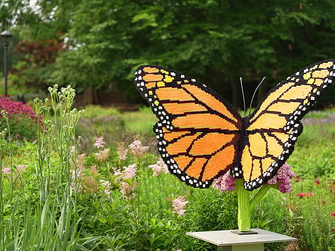 This LEGO monarch butterfly sculpture captures migration magic without ever leaving Ohio&mdash;nature-inspired art that won't fly away with the seasons.