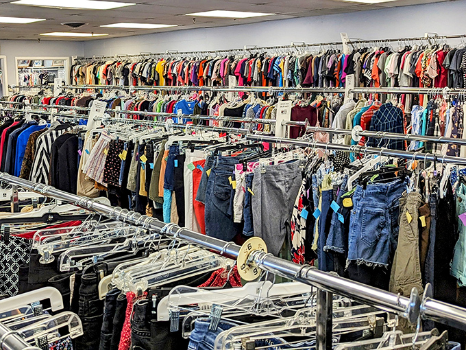 Racks upon racks of pants and shorts—a denim democracy where designer labels mingle with everyday brands in perfect secondhand harmony.