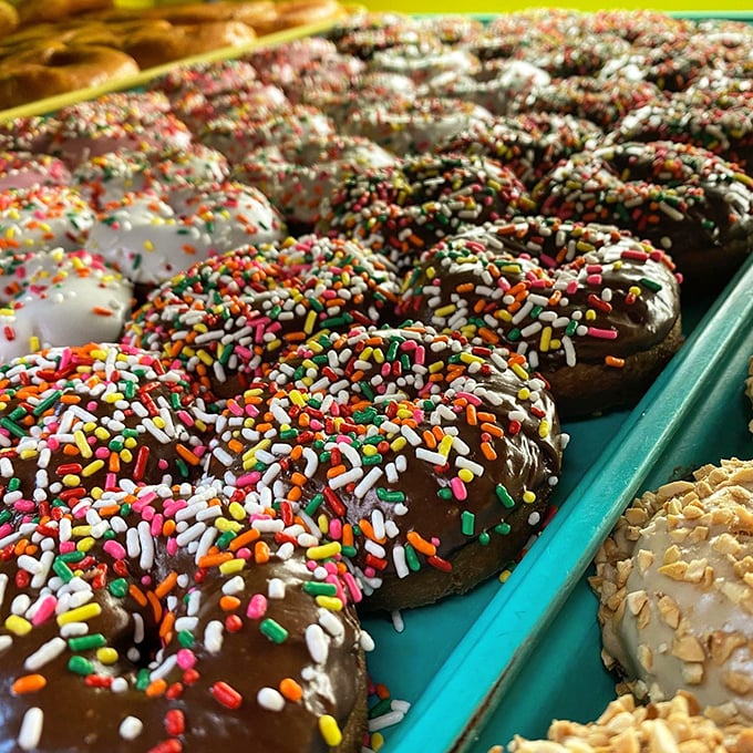 Sprinkle-topped donuts that bring childlike joy to grown-up palates&mdash;proof that sometimes the most colorful option is also the most necessary.