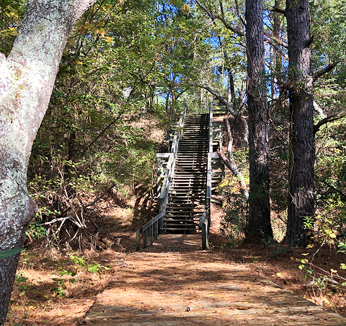 Stairway to heaven? Close enough. These steps lead to panoramic views that make the quad burn completely worthwhile.