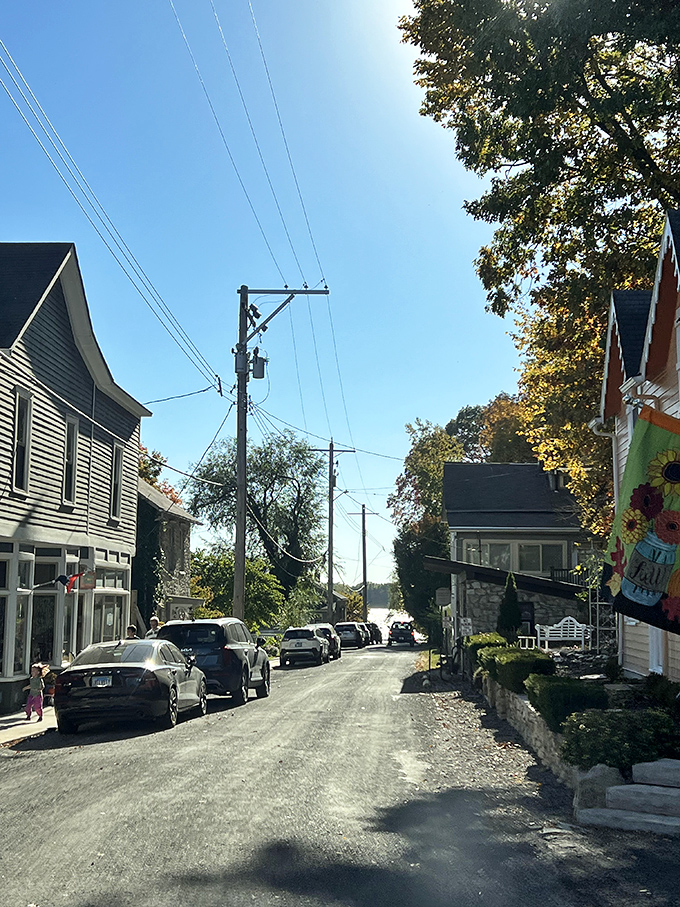 Power lines and history lines intersect on Elsah's narrow streets, where modern necessities respectfully coexist with 19th-century charm.