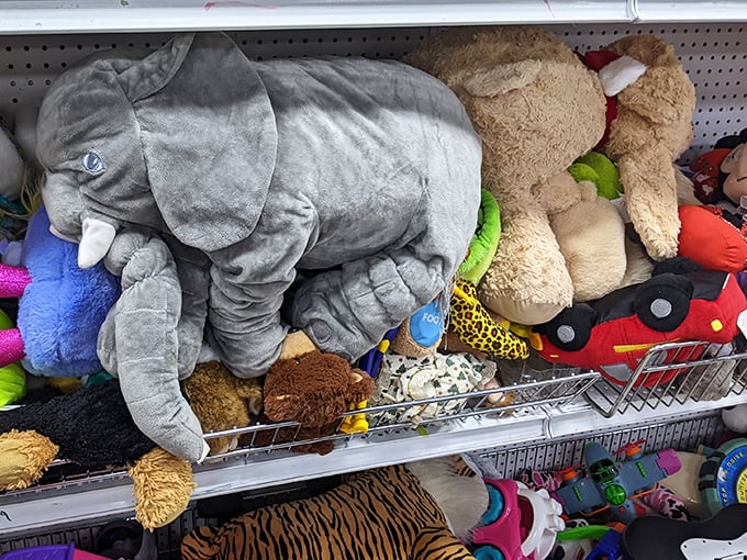 Stuffed animals huddle together like a plush orphanage, each waiting for new little arms to call home.