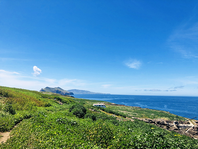 On perfect days like this, even the seagulls seem to pause and appreciate the view.