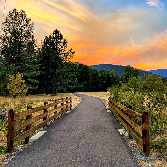 Nature's goodbye kiss at day's end. This golden-hour path practically whispers, "Take one more walk before the stars come out."