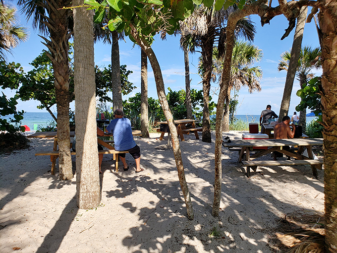 Picnic tables with million-dollar views where peanut butter sandwiches somehow taste better than five-star meals. The palm trees provide nature's air conditioning.