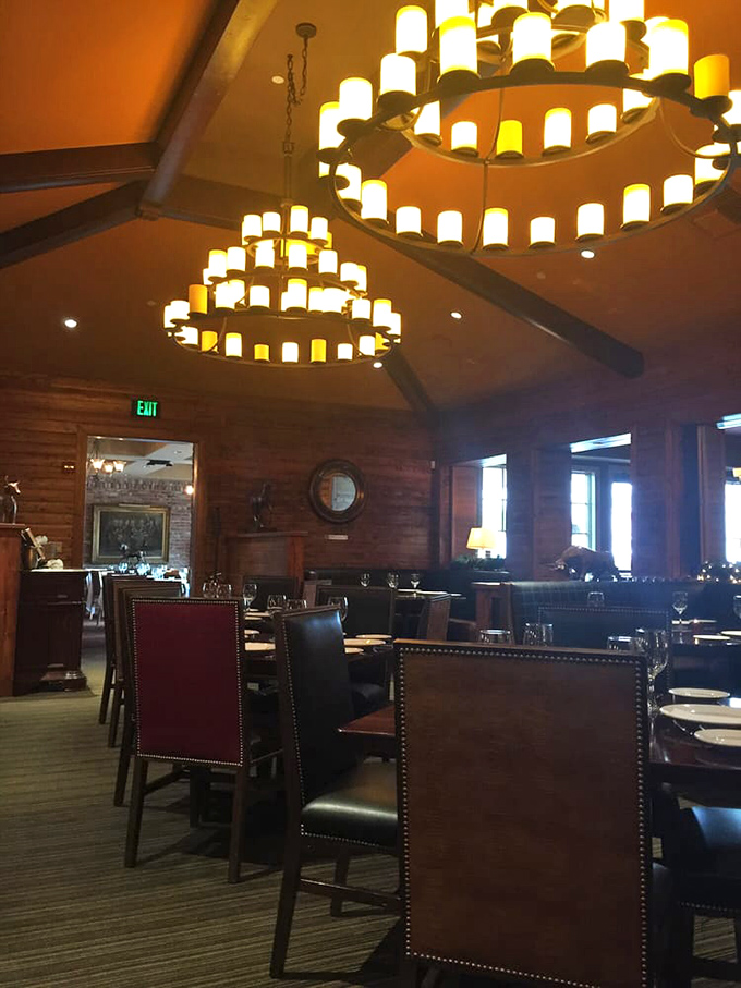 Chandeliers that cast the perfect golden glow over leather chairs and wooden tables. This is lighting designed for making both food and dining companions look their absolute best.