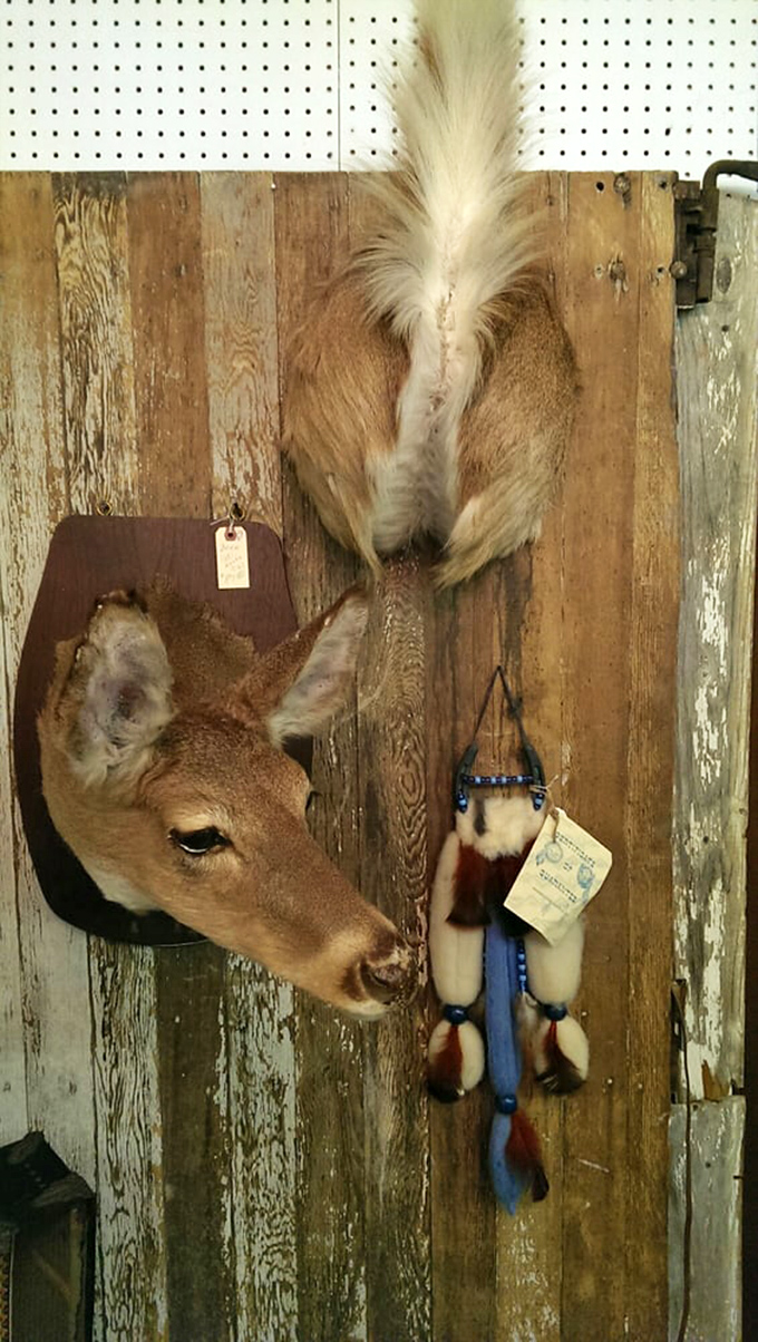 The taxidermy section isn't for everyone, but this deer mount and decorative elements showcase the market's truly eclectic personality.