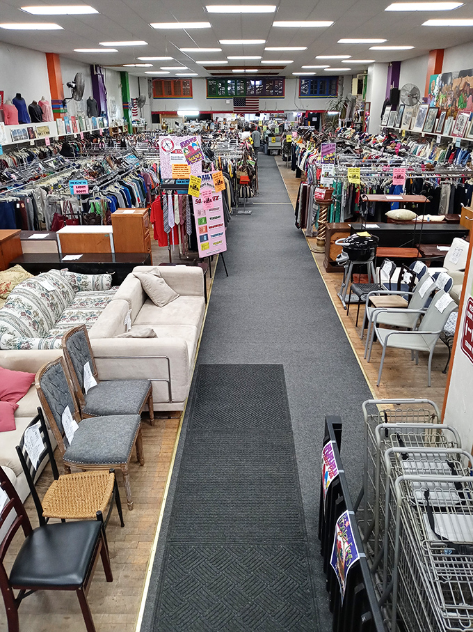 A bird's-eye view reveals the magnificent organized chaos that makes thrift shopping both a challenge and a delight.