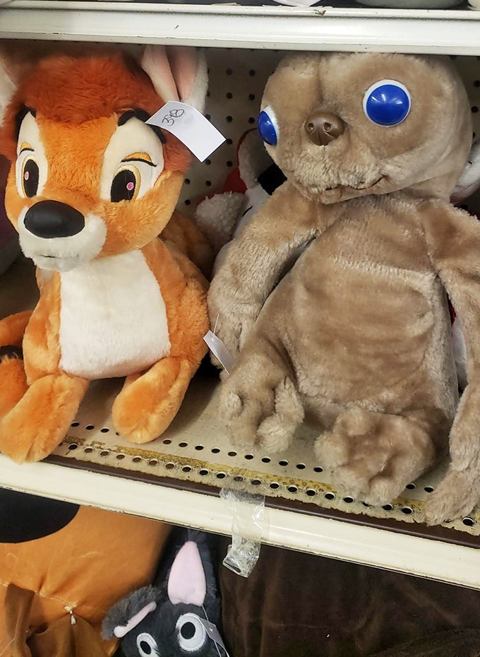Stuffed animals with hopeful eyes. That fox and seal aren't just toys—they're future best friends for some lucky child.