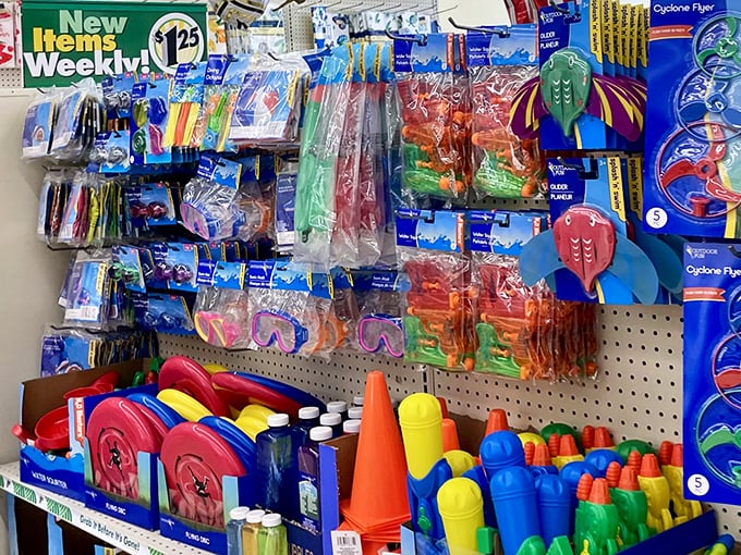 Summer fun in plastic form. These colorful toys promise backyard adventures and pool-time hijinks for the budget-conscious family.