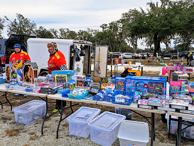 Childhood memories for sale! These toys once lit up Christmas mornings and now wait for their second act in someone else's story.