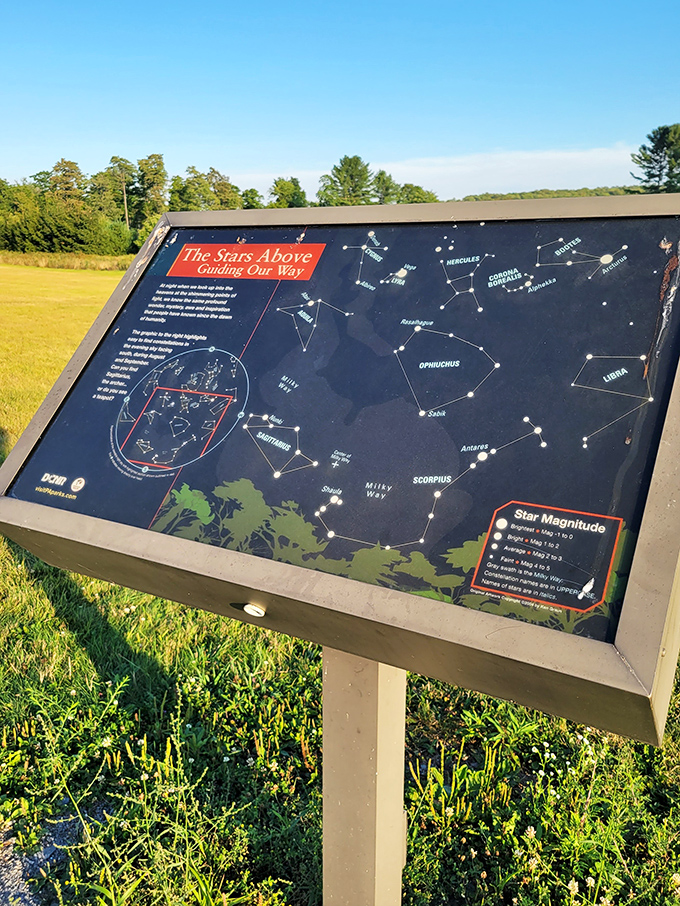 Star charts: the original GPS for celestial travelers. No signal required, batteries never die, and it never tells you to make a U-turn.