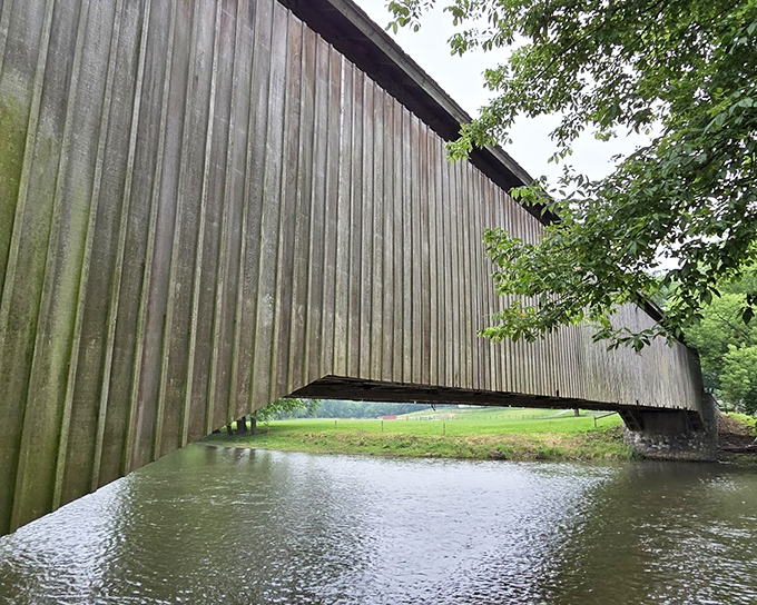 The view from underneath reveals engineering that would make modern builders scratch their heads in admiration.
