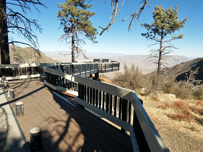 This viewing deck wasn't built for selfies, but it certainly delivers them. Nature's IMAX theater requires no ticket, just sensible footwear.