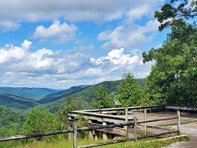 This viewpoint platform frames the Cumberland Plateau valleys like a living postcard—the kind that makes social media friends genuinely jealous.