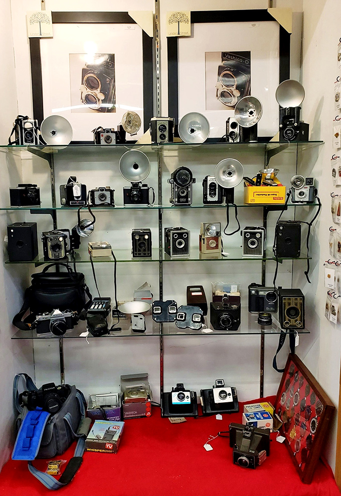 Camera collection spanning generations of picture-taking, from simple snapshots to artistic masterpieces waiting to happen.