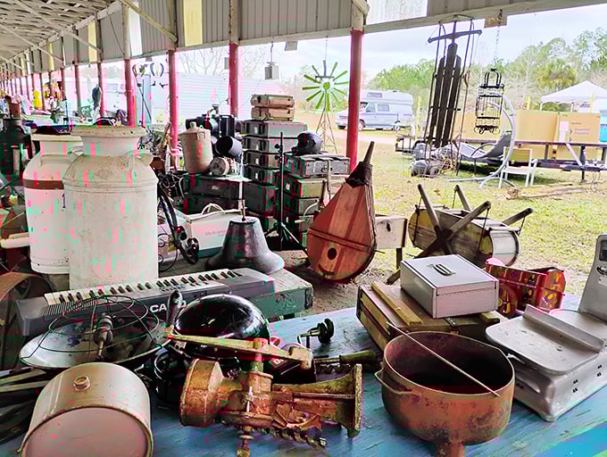 The Island of Misfit Treasures, where musical instruments, milk jugs, and mysterious gadgets await their second act. One person's "what is that?" is another's "must-have."