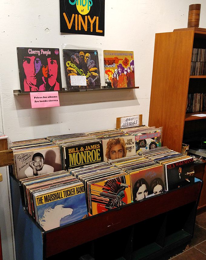 Album covers as art, music as treasure&mdash;this vinyl collection offers both sound and sight in an experience no digital playlist can match.