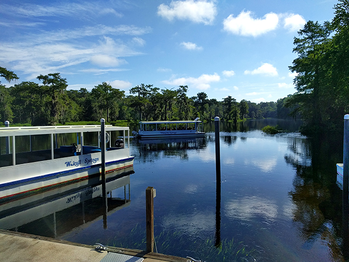 Crystal-clear springs that make swimming pools look cloudy - nature's own infinity pool in pristine perfection.
