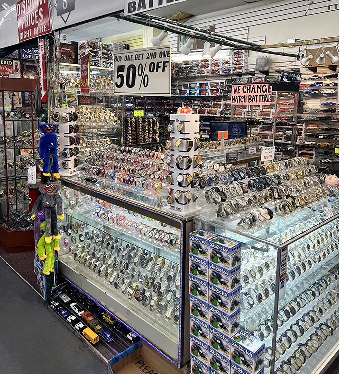 Tick-tock treasure trove! More watches than you have wrists, with a blue bear standing guard over timepieces that span decades.