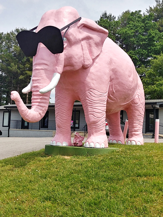 Ellie occasionally sports festive attire, like this polka-dotted swimsuit that adds even more whimsy to an already delightfully absurd roadside treasure.