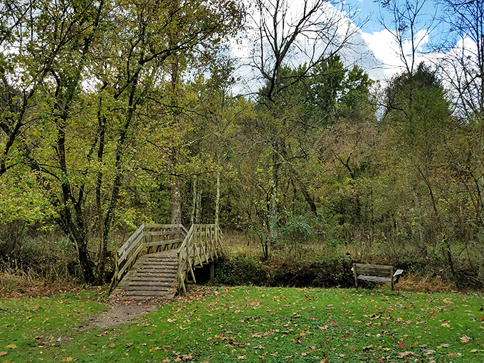A wooden bridge to nowhere and everywhere. Some of life's best moments happen when you cross unexpected thresholds.
