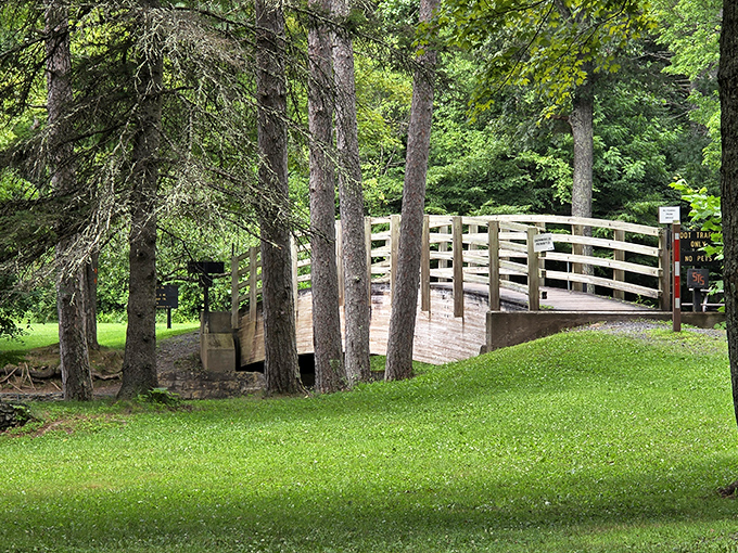 A wooden footbridge invites you to channel your inner troll &ndash; the friendly, non-scary kind who just likes bridges.