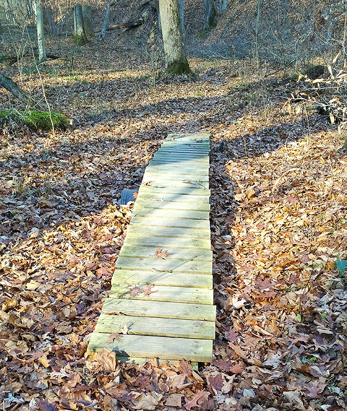 This humble wooden walkway solves the age-old hiking dilemma: how to enjoy autumn leaves without becoming one with the mud below.