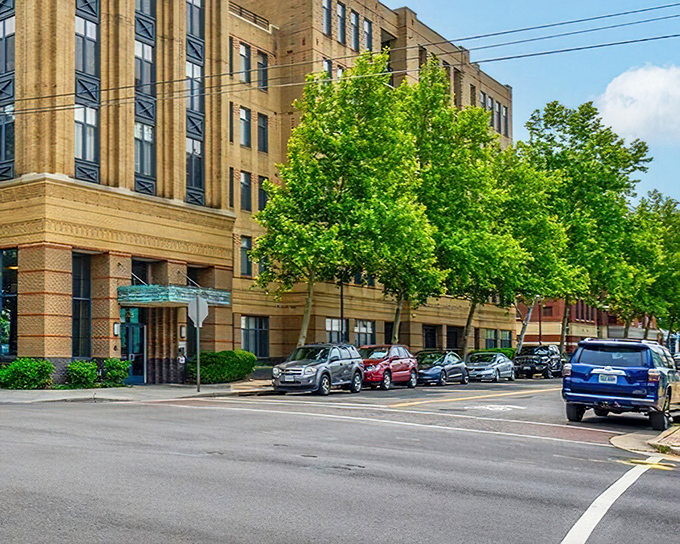 Alexandria proves that some places are meant for meandering rather than marathoning through life.