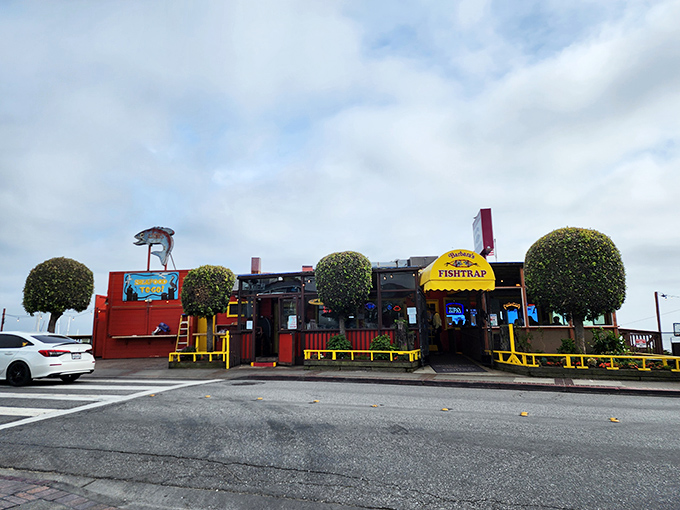 Perched along the Half Moon Bay coast, Barbara&rsquo;s Fishtrap pairs its laid-back roadside charm with the kind of ultra-fresh seafood that keeps locals and travelers lining up year-round.