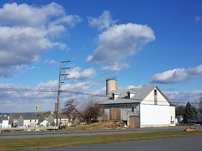 White farmhouses dot the landscape like pearls on green velvet, each one a family's legacy.