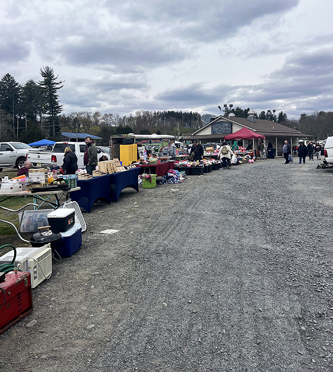 Massive outdoor space offering endless aisles of discovery and delight.